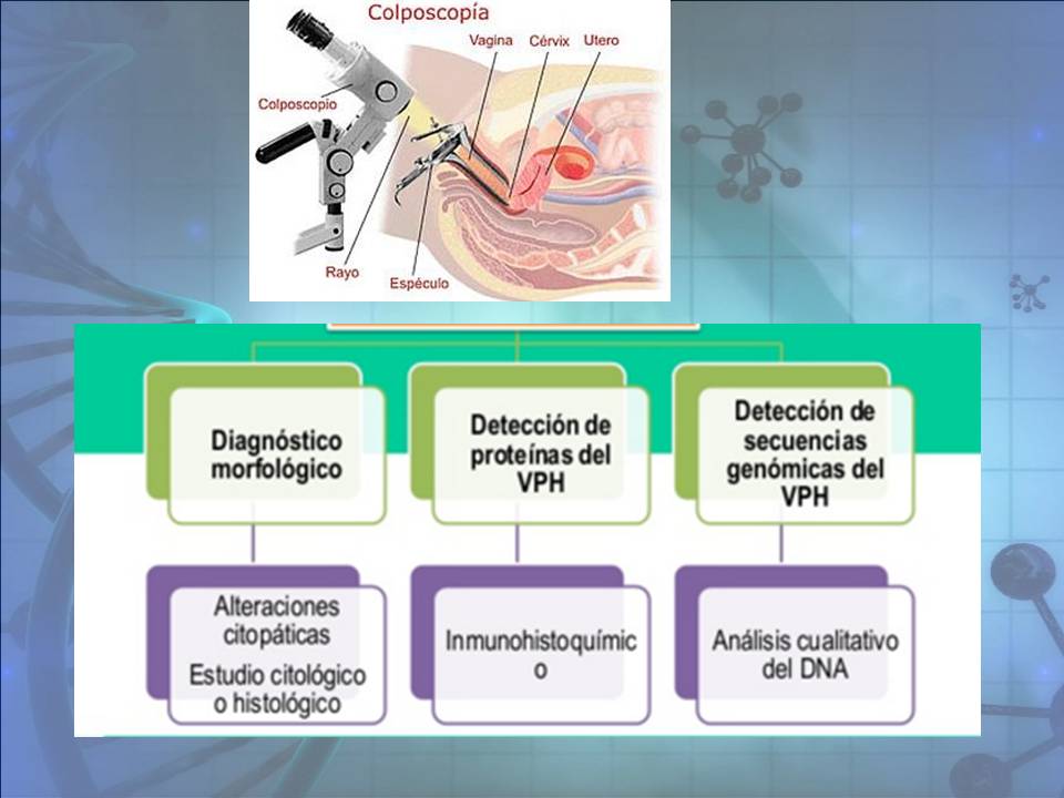 Virus del Papiloma Humano:【Síntomas y Prevención】