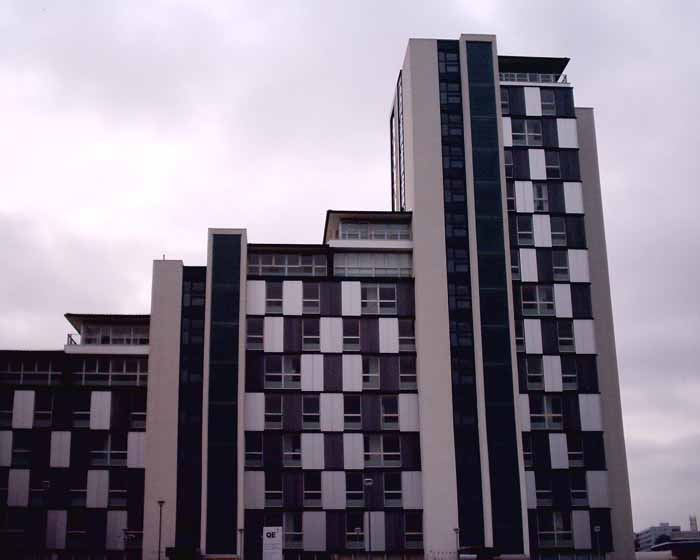 Shannon's Digital Photo blog: Types of Perspective in Photography