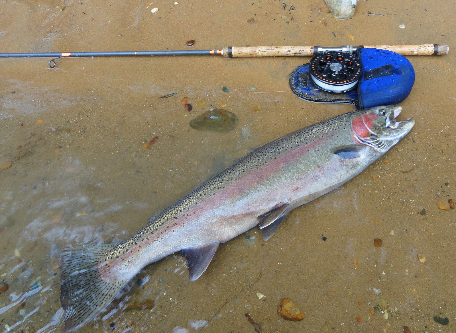 November Rains: The Tunk Hole