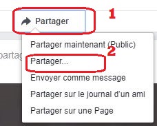 Comment partager une publication dans un groupe (Facebook)?