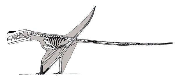 Blog de la Vida Prehistórica: Austriadactylus
