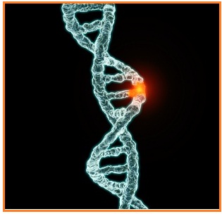 Mutasi Pada Gen: Pengertian, Jenis, dan Contohnya