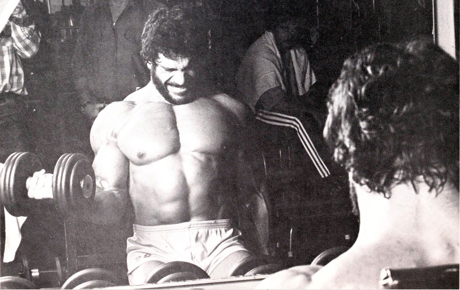 The Ultimate Hercules Blog: Lou Ferrigno training for Hercules