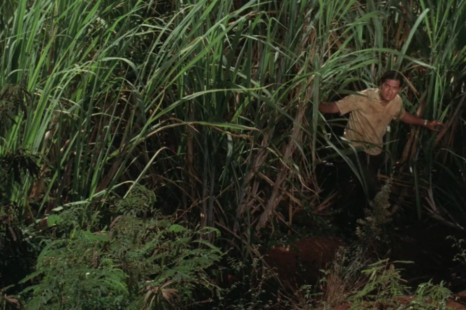 Five-O Revisited: Run, Johnny, Run