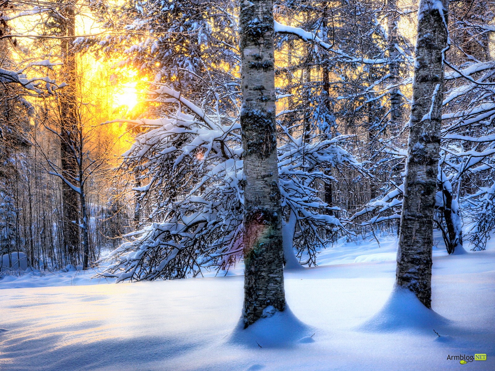 Tigran Voskanyans Blog Էկրանի գեղեցիկ նկարներ Ձմեռ