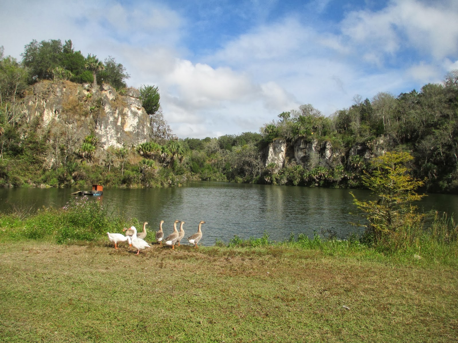 Ziplining Across the USA: Wednesday November 6 Canyons Zipline and ...