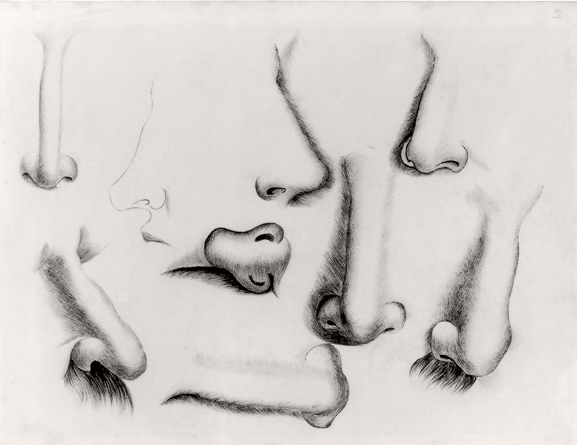 the Brontë Sisters: Study of Noses, pencil drawing.
