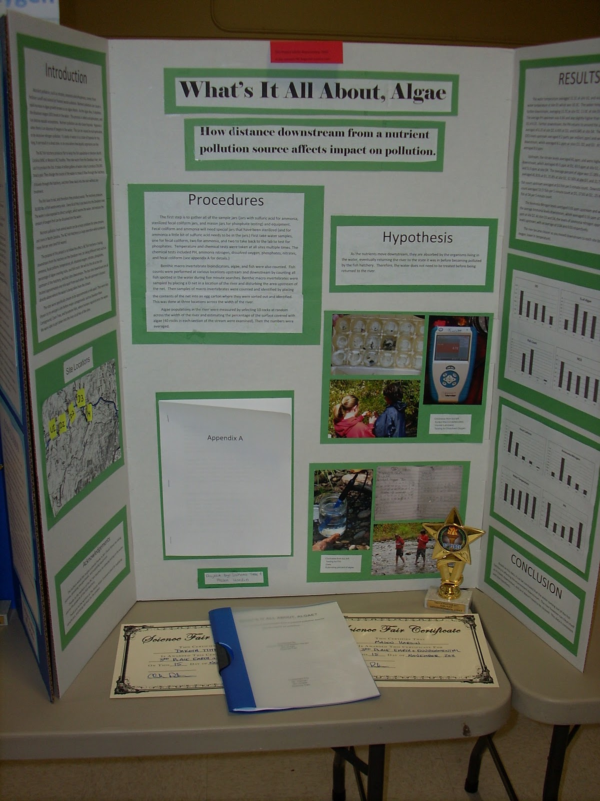 Mr Palmer's Costa Rican Adventure: Science Fair
