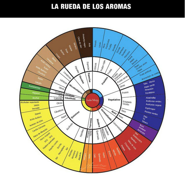 GRUPO REBOREDA MORGADIO: Manual de cata: fase olfativa