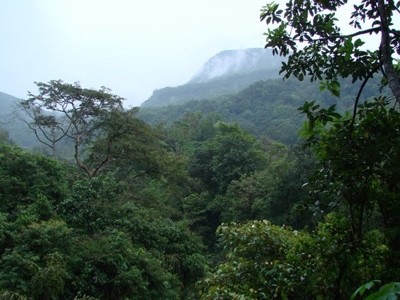 Images of Sri padaya /Adam's peak