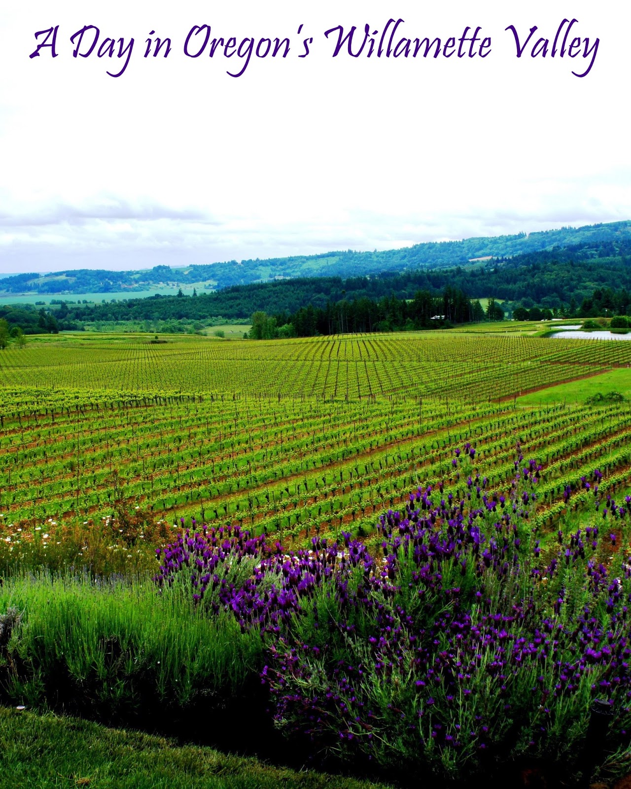 Oregon’s Willamette Valley: More Than Just Wine | Travel the World