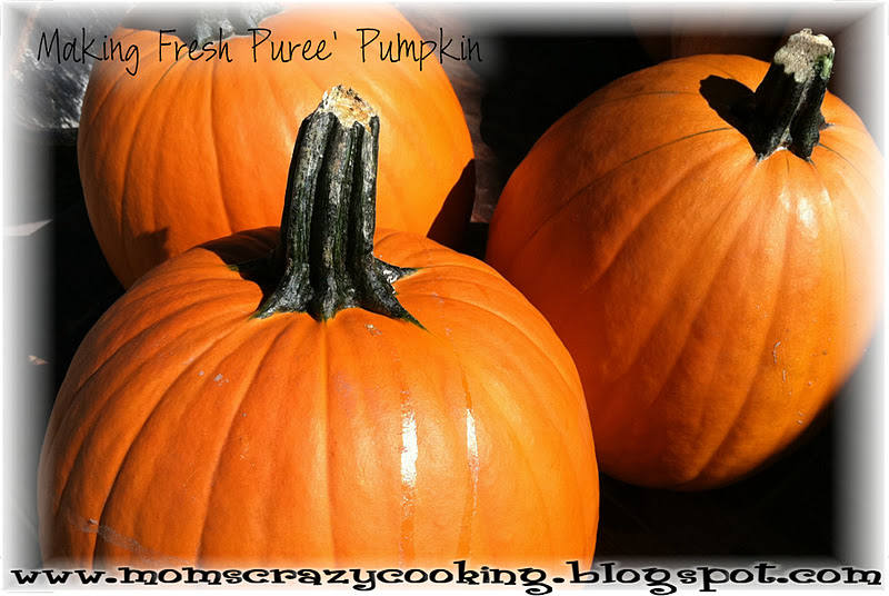 MOMS CRAZY COOKING: Fresh Puree' Pumpkin