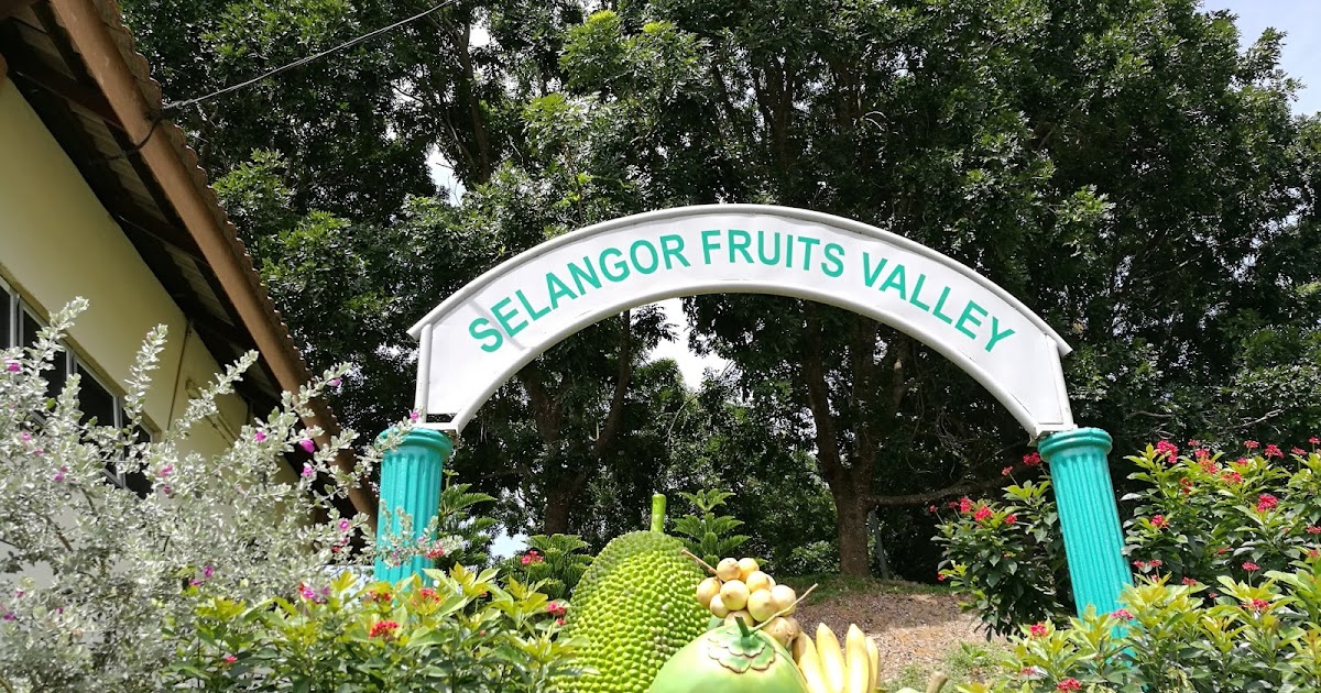 Selangor Fruit Valley (SFV)