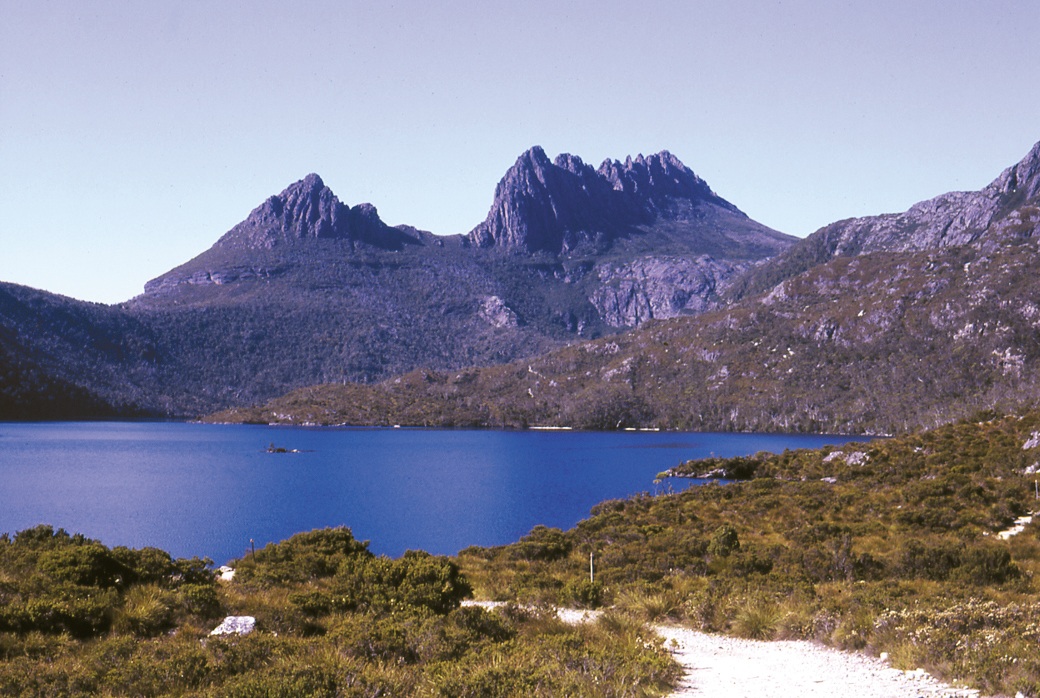 Alpine Garden Society Victorian Group: Australian Alpine Plants