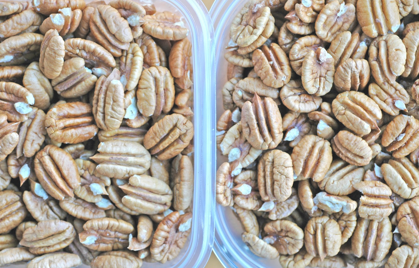 Northern Pecans: Kanza produces in drought year