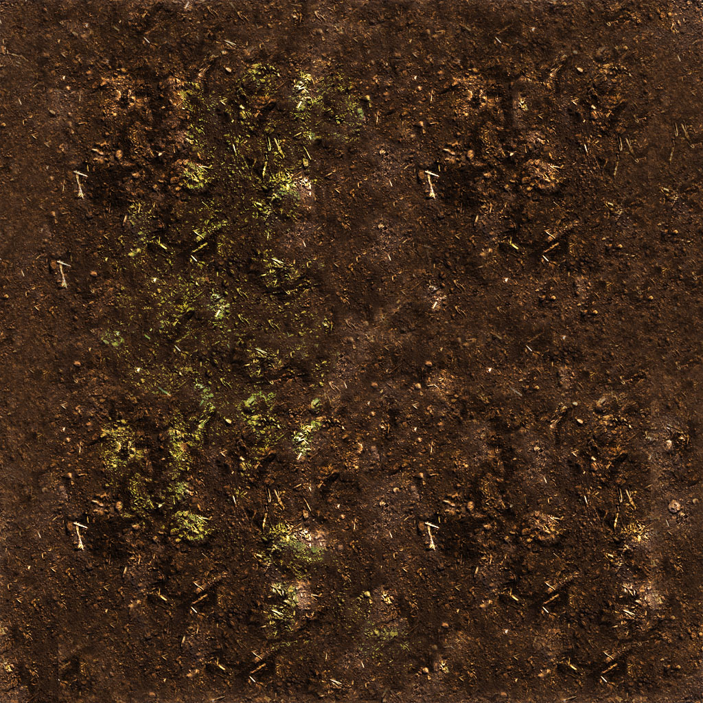 Jennifer Hacker: Texture Update-Soil
