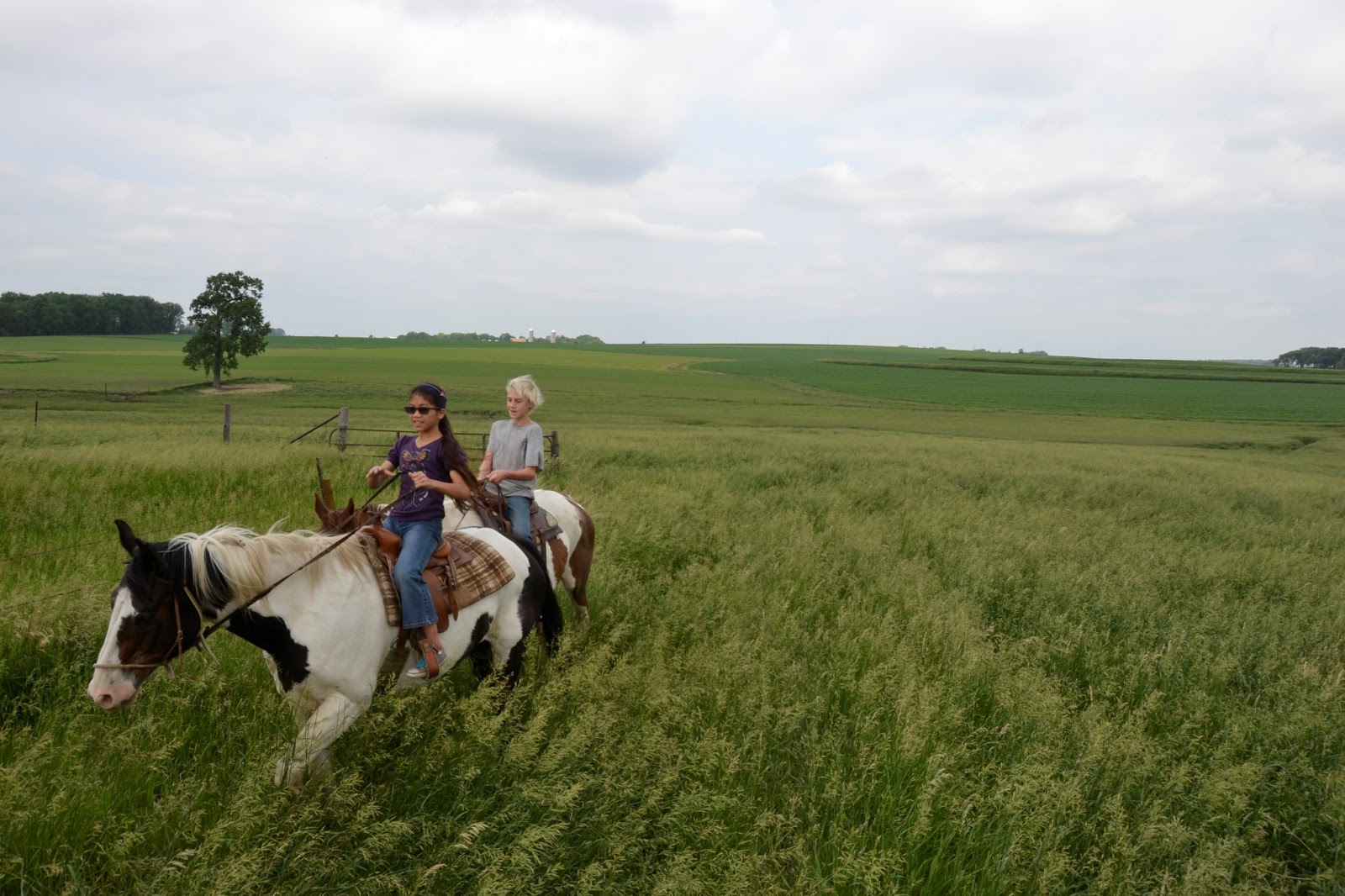 Gardening With Chickens and Other Trials of Farm Life: It's Summertime ...