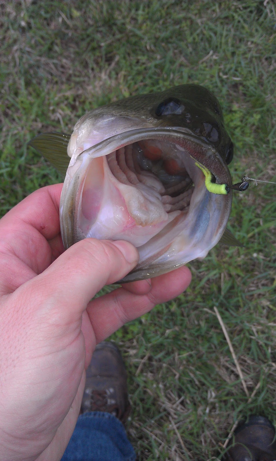 Extreme Philly Fishing: Reports (Rob Z.): Fishing in Scranton, PA (2013!)