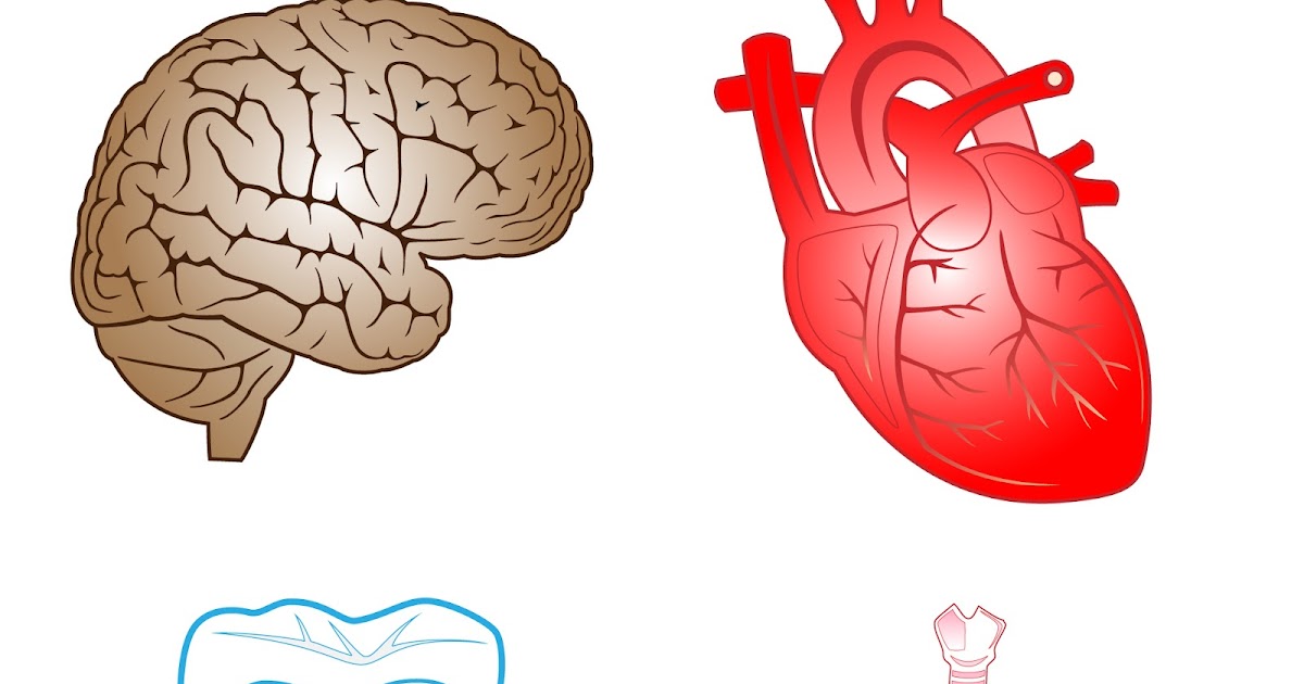 Things you should know about Mouth-Body Connection