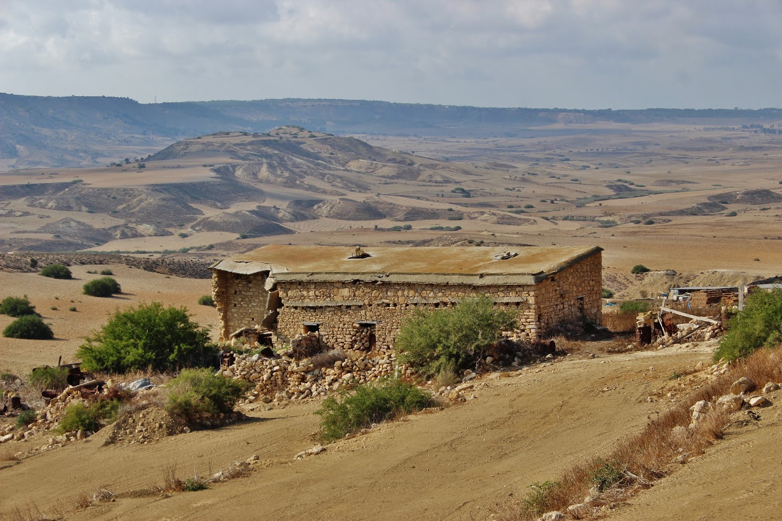 Biodiversity of Cyprus by NGO Protection of the Natural Heritage and ...