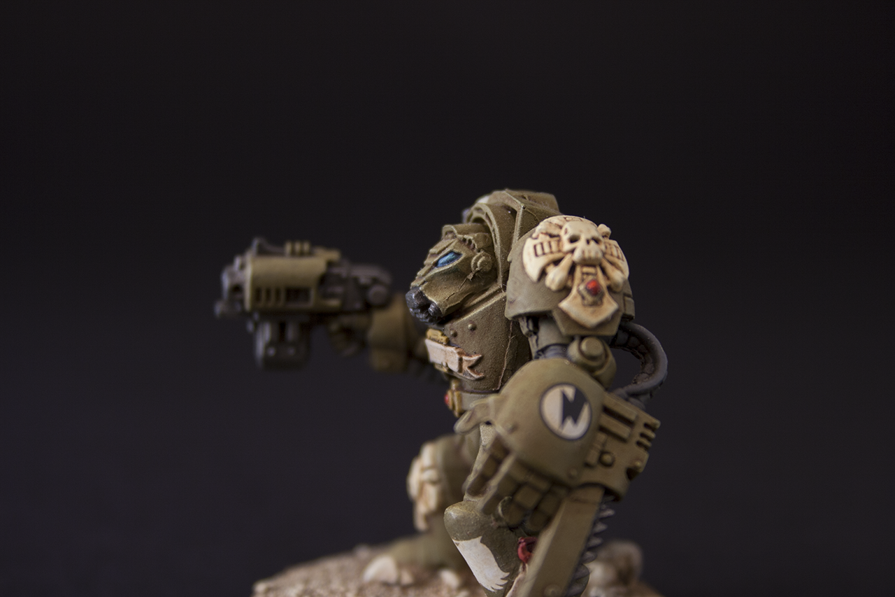 Whit's model domain: Raptor Space Marine Terminator - Colour Test