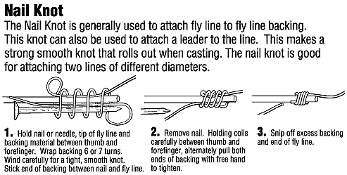 Fishing Knot ~ Fishery Info