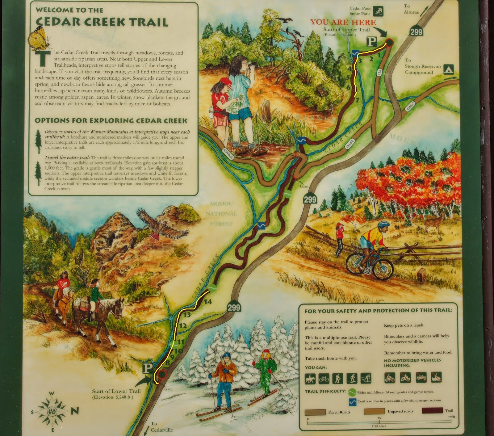 Mamma Quail Hiking California : Too Late for Winter, Too Early for ...