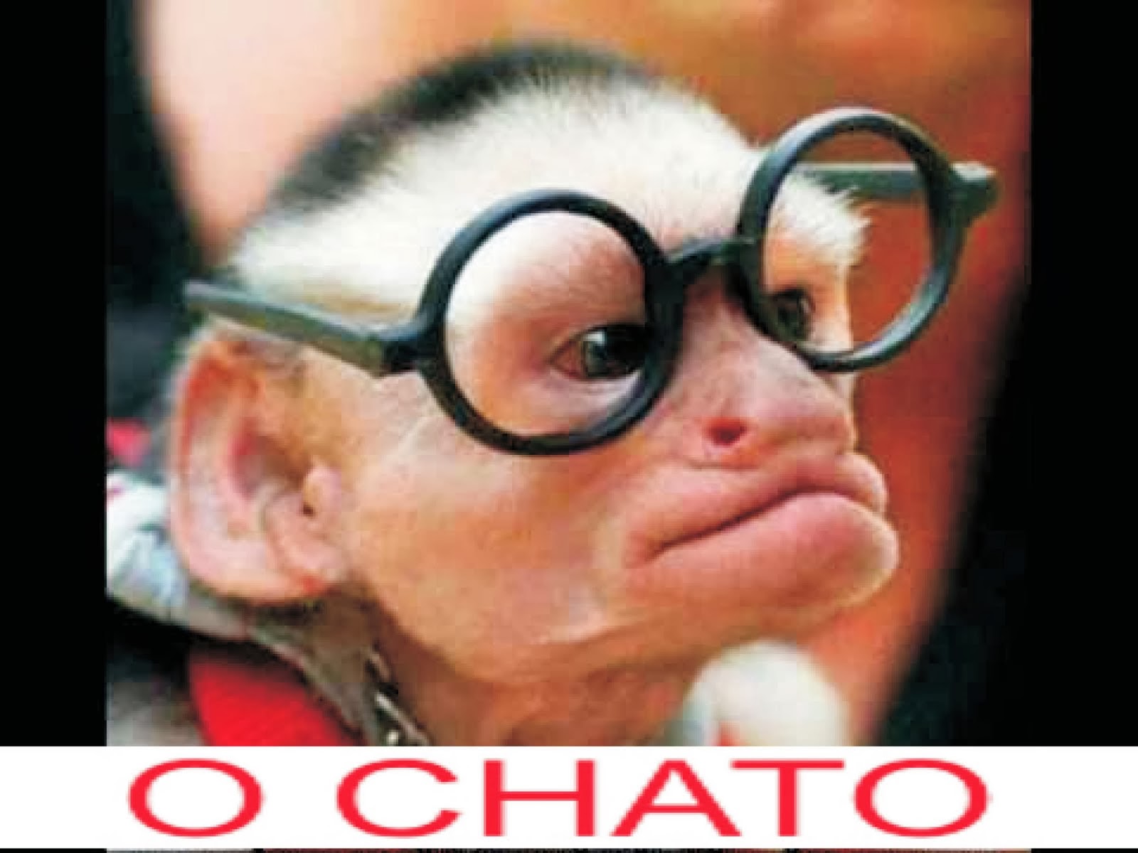 VIANENSIDADES: A lista dos chatos de 2013