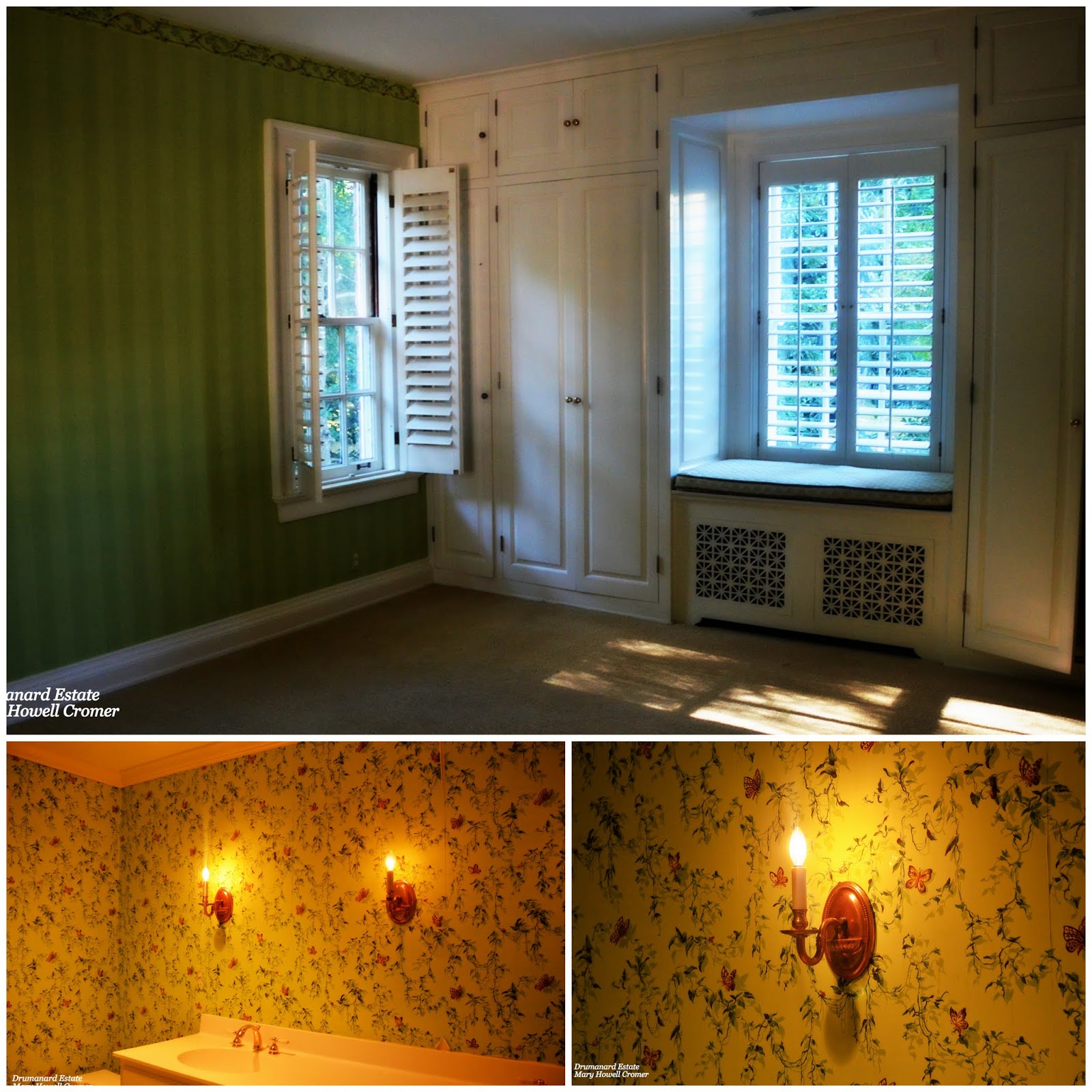 Red-shouldered Hawks of Tingsgrove and Beyond: The Rosewell Mansion ...