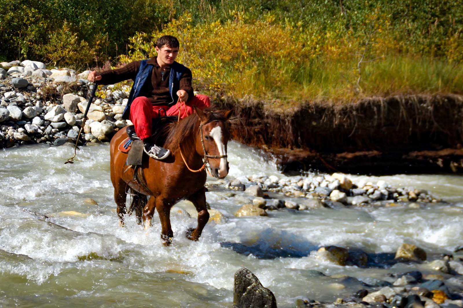ABOUT PANKISI ~ May the force be with YOUth!