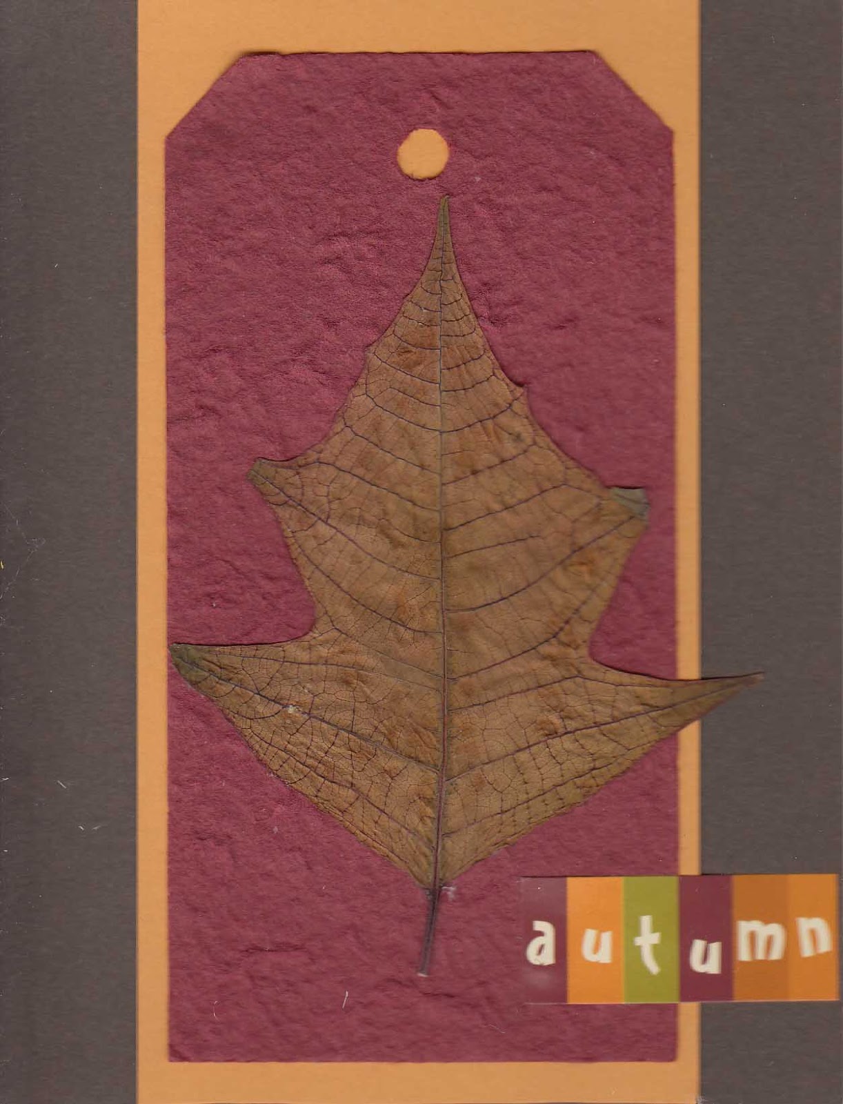 Holley's Blog: Leaf Cards