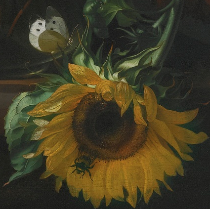 Still Life: Rachel Ruysch