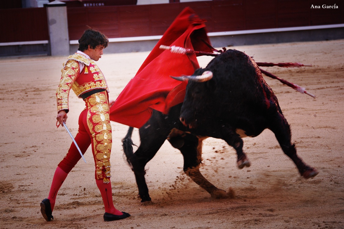 TOROS desde la Barrera: 1ª novillada nocturna en Las Ventas: Luis ...
