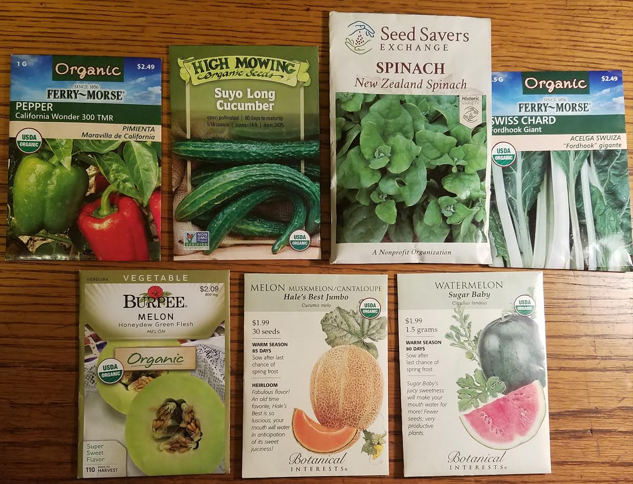 10 Steps To Start Growing Your Own Foods