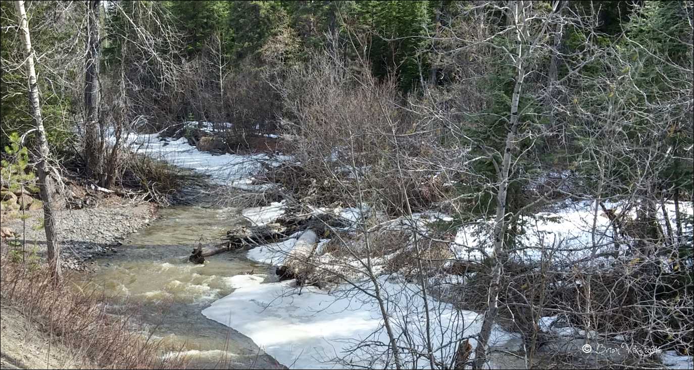 Northern Interior British Columbia: Findlay Creek And Canyon Topley ...