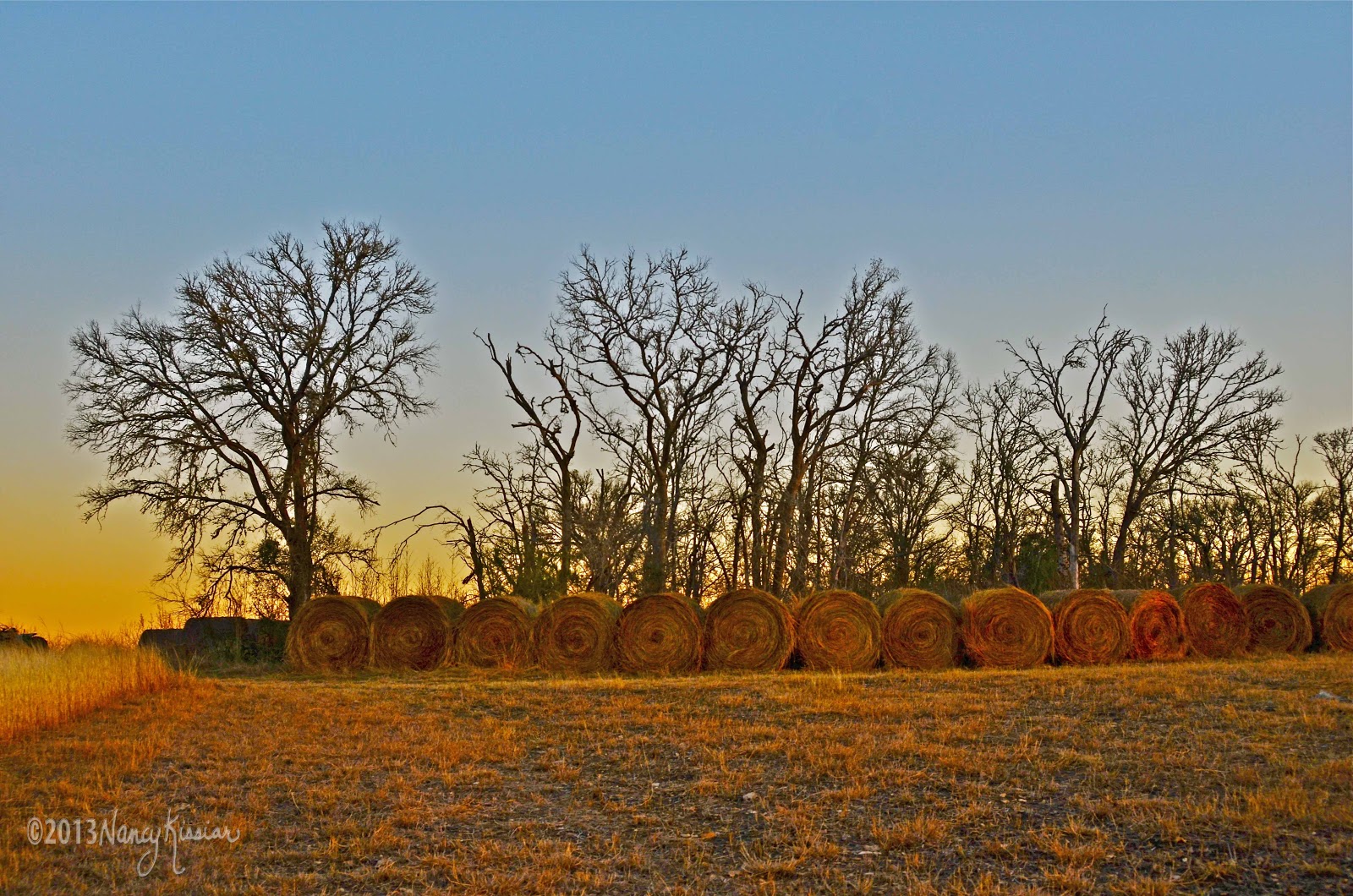 Wild About Texas: Winter Hay Bales At Sunset