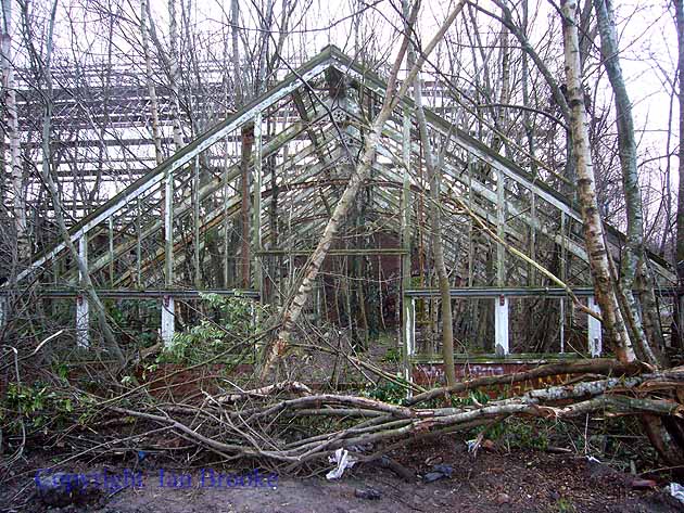 A Glasgow Album: Springburn Burgh Halls and the Winter Gardens