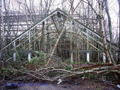 A Glasgow Album: Springburn Burgh Halls and the Winter Gardens