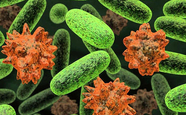 Bactérie mortelle en Allemagne ~ 2023 - La fin du monde