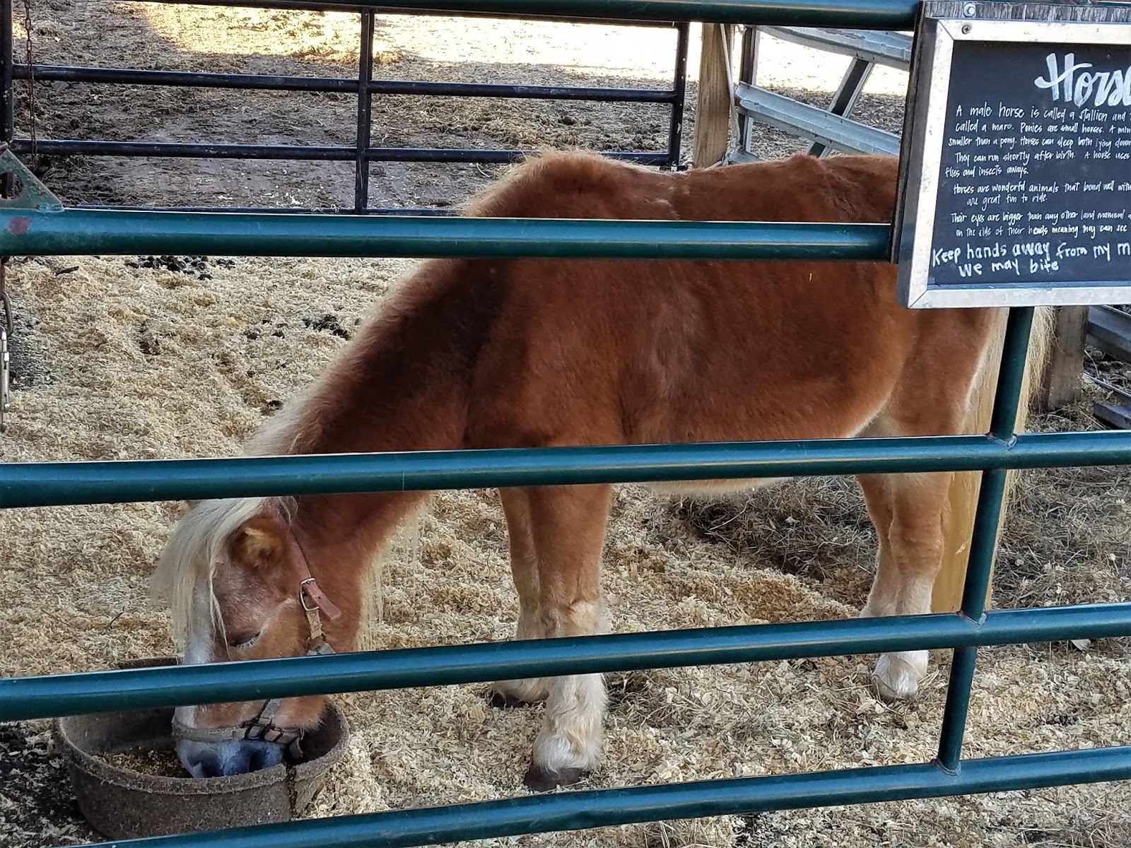 Another Mile Another Destination Blog: Steed’s Dairy Farm and The Corn ...