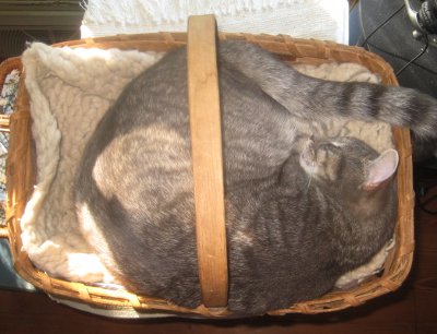 5 Acres & A Dream: The Life Of Riley: Wiley Wednesday Edition