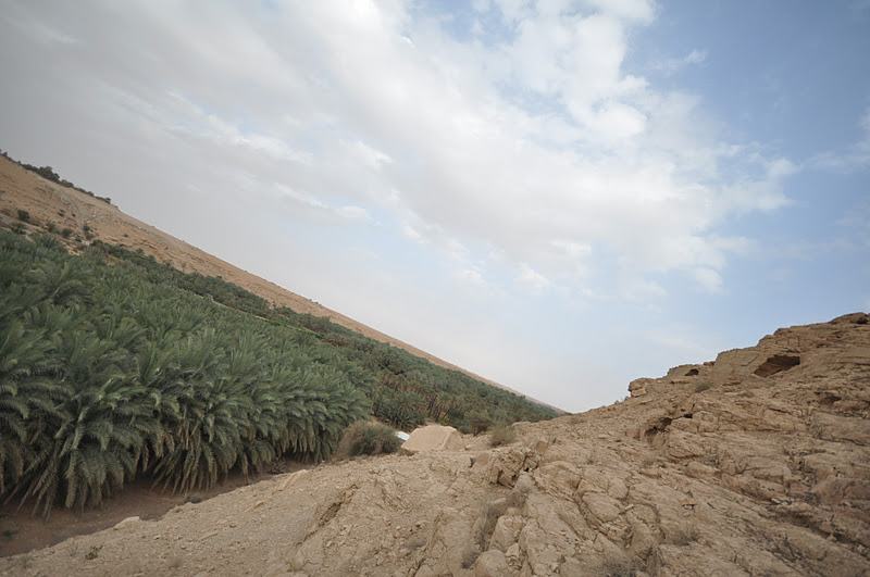 Tuesday Ten From Saudi-Charities and Rain - Blue Abaya