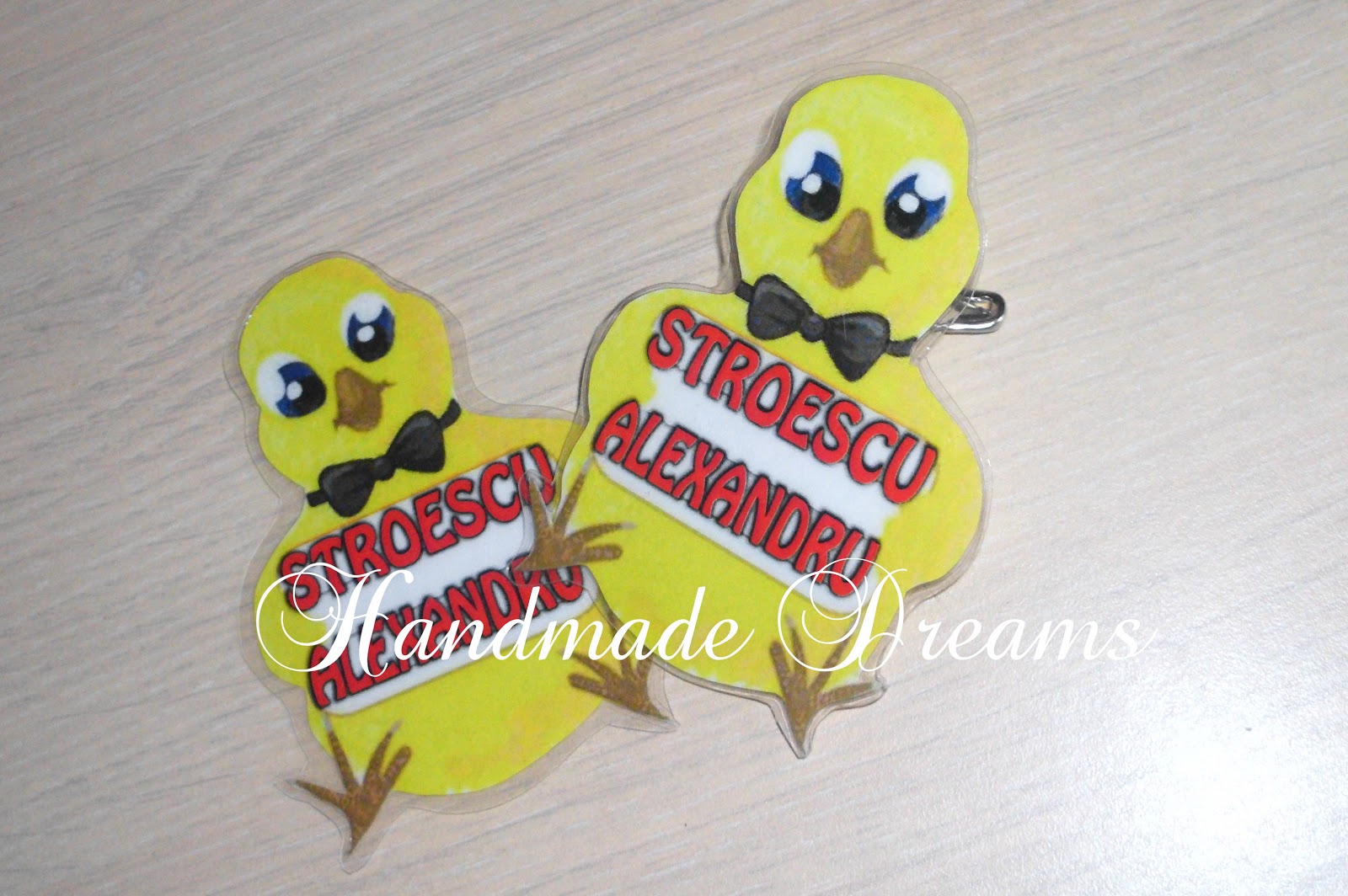 Gazeta de vise: Name Badge Kindergarten - Ecusoane Gradinita