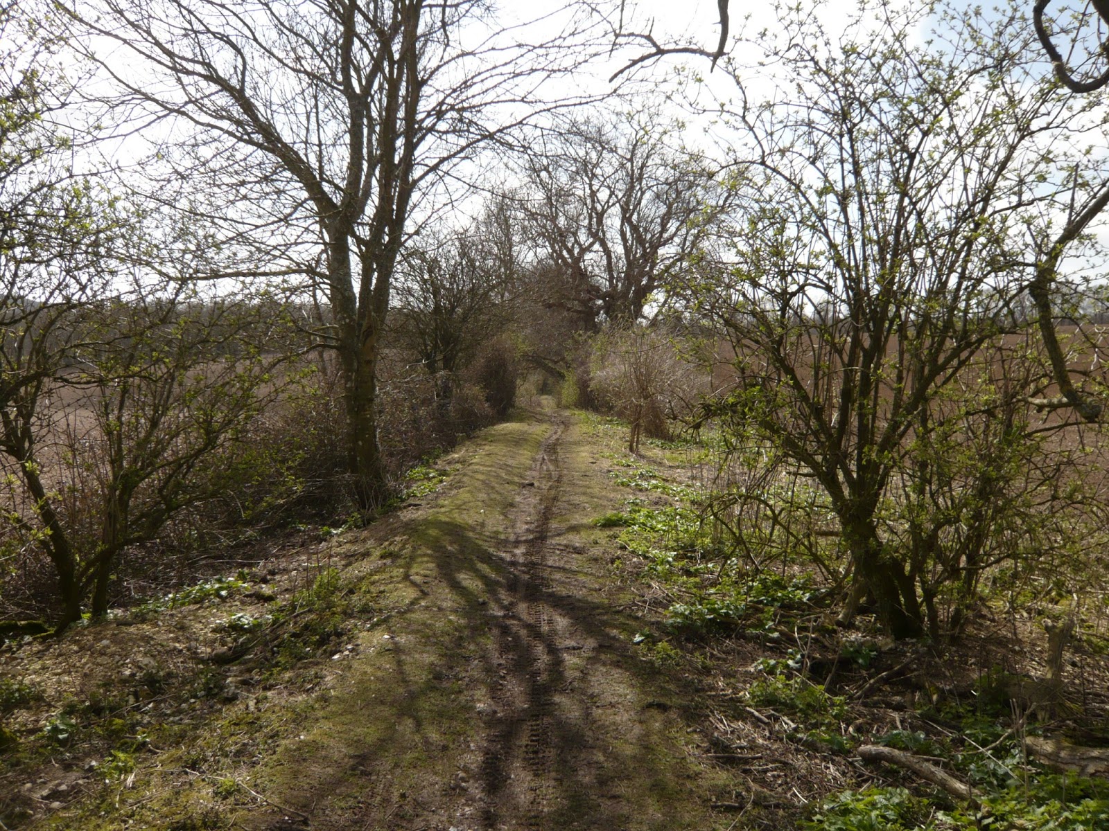 A Walk Amongst The Stones Stane Street Roman Road West Sussex