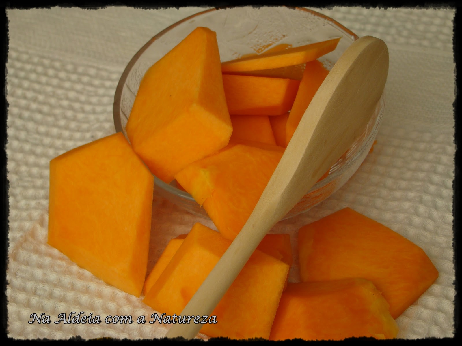 Na Aldeia com a Natureza: Aventura de hoje .... Mogango