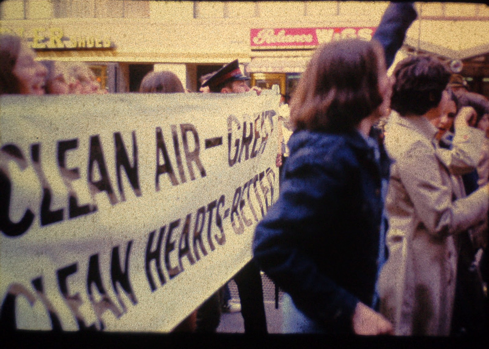 Lupine Seeds: The First Earth Day