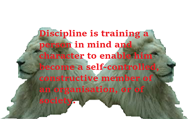 Principles for effective discipline in leadership