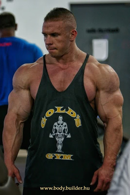 world bodybuilders pictures: hangary bodybuilder Daniel Toth