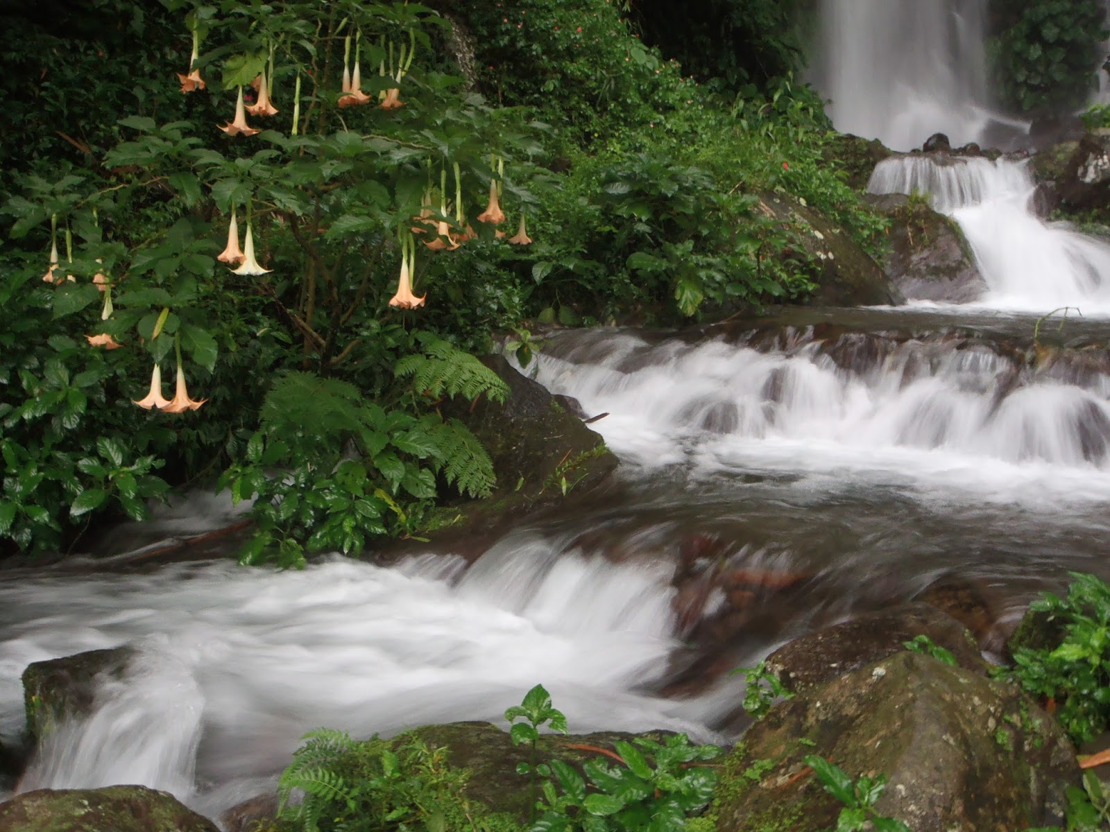 August Rush of Guintubdan Falls: A Photo Diary
