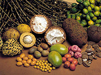 RAÍZES MARAJOARAS: Prove o Sabor do Marajó ...